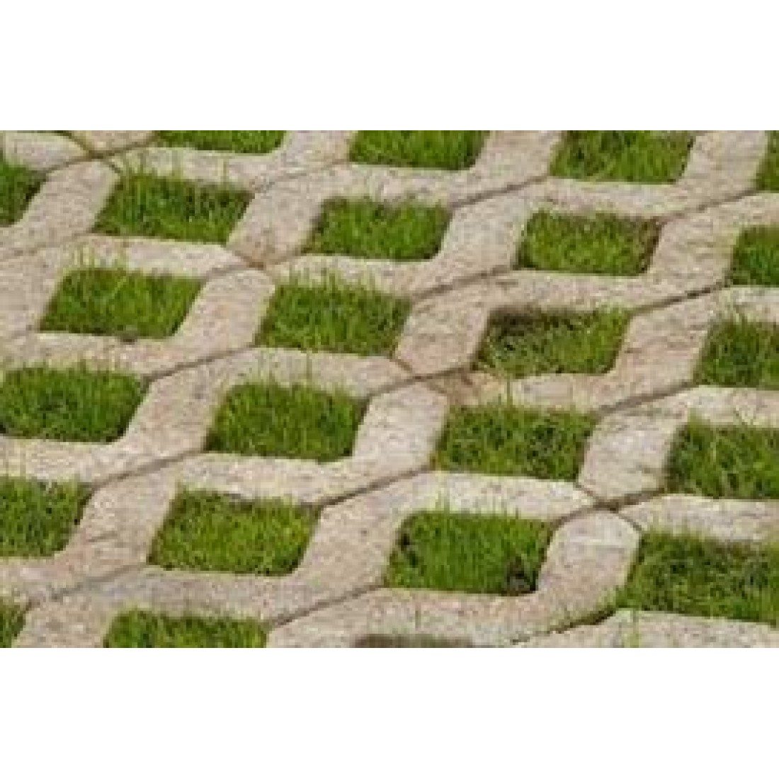 10 cm yüksekliğinde, her renk ve ebatta normal çimentolu beton çim taşı ...